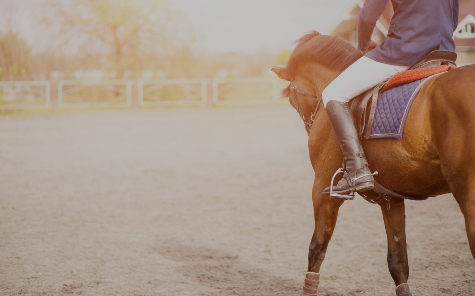 Equestrian Sports Injury Insurance - Properly Protected Ltd